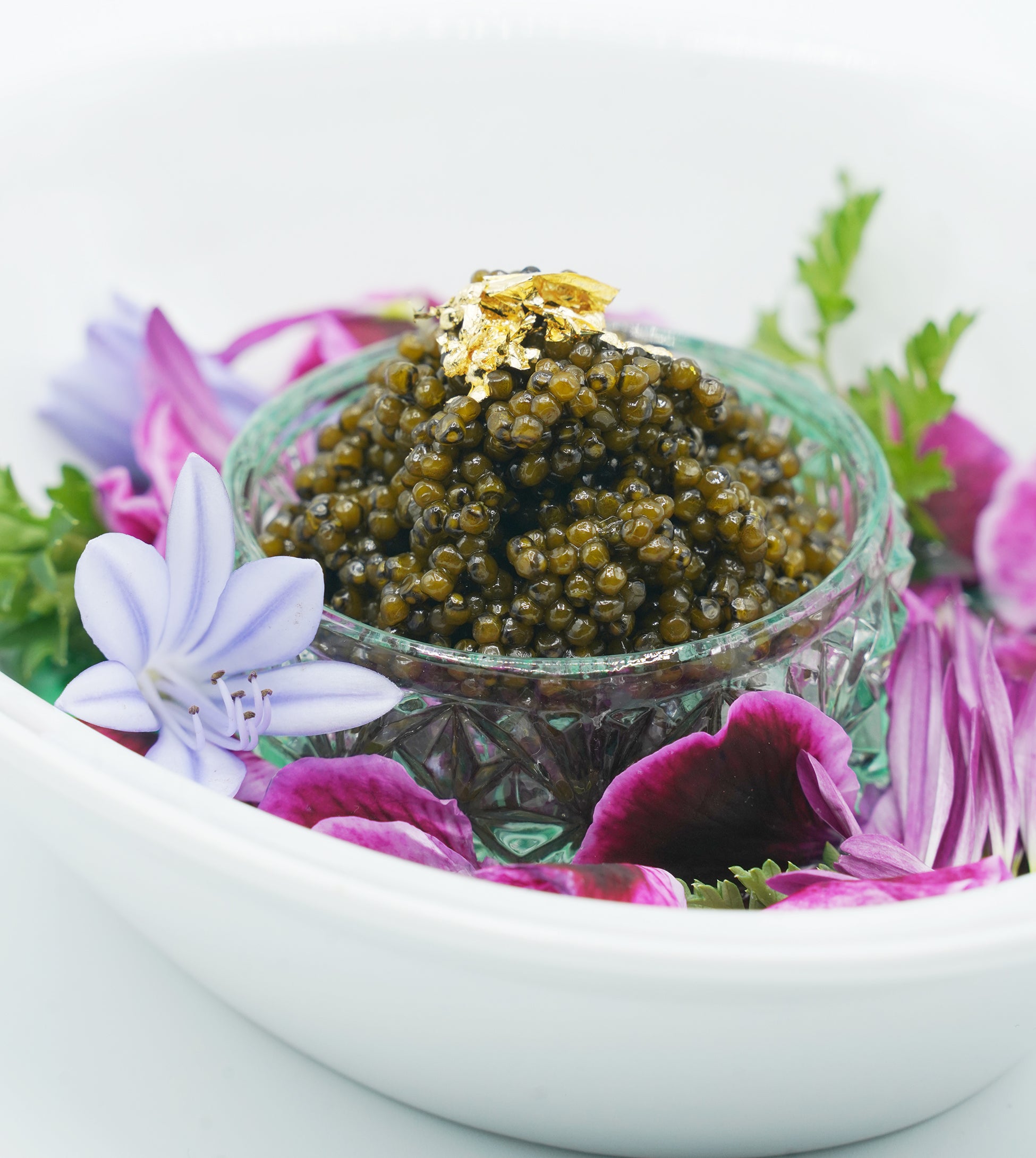 Royal Osetra – Sam's Caviar